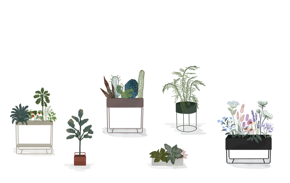 Plant Box Guides – Ferm Living